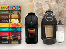 Delta Q Global website